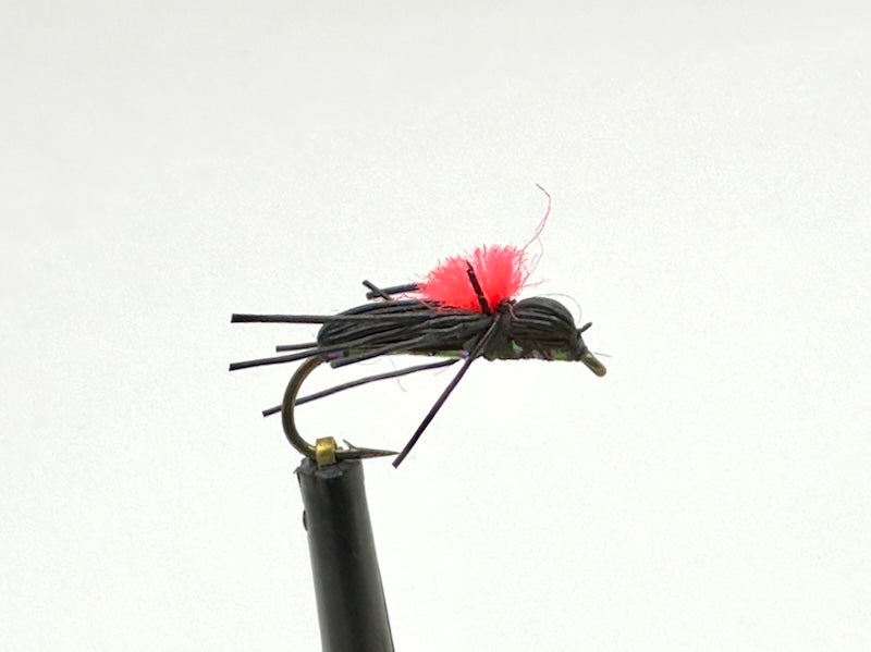 Black Beetle | Headhunters Fly Shop