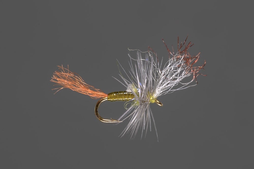 Ninch’s Hangman BWO | Headhunters Fly Shop
